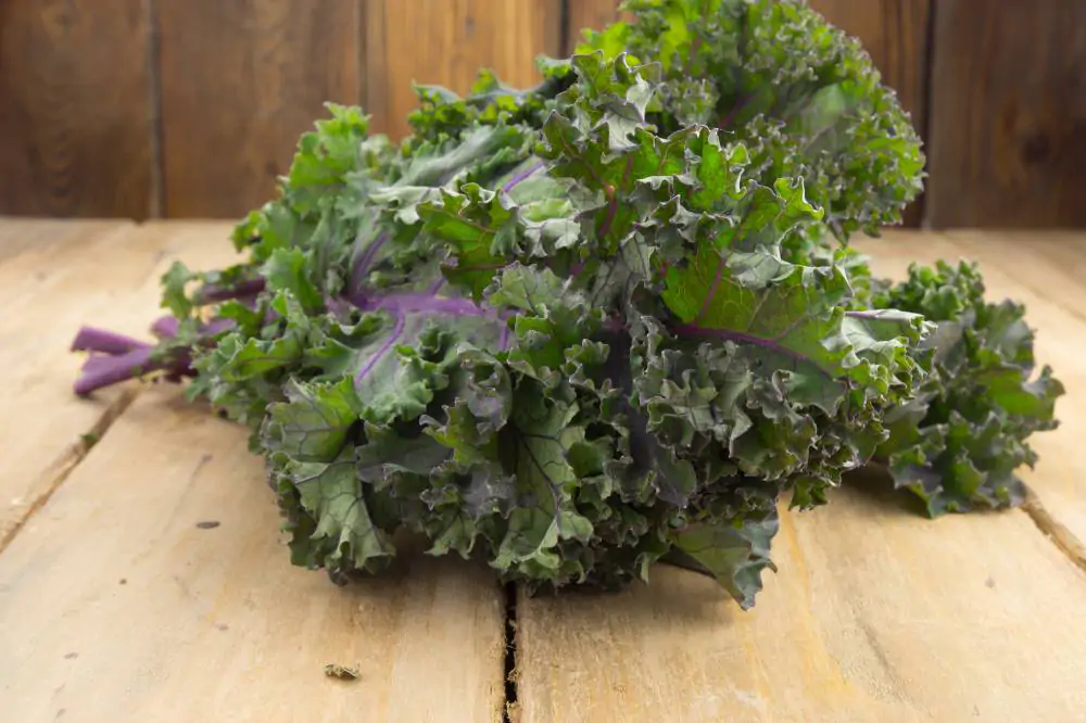 Acquista Cavolo riccio Kale - Consegna a domicilio con Papilla